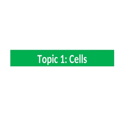 Animal-cell.ppt Balanced-diet-2.pptBalanced-diet-2.ppt