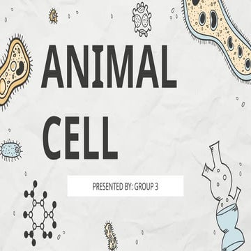 animal-cell parts and functions and how it works | PPTX
