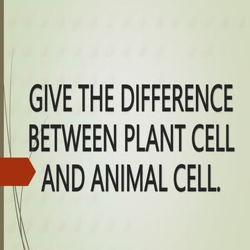 ANIMAL-CELL-VS-PLANT-CELL.pptx