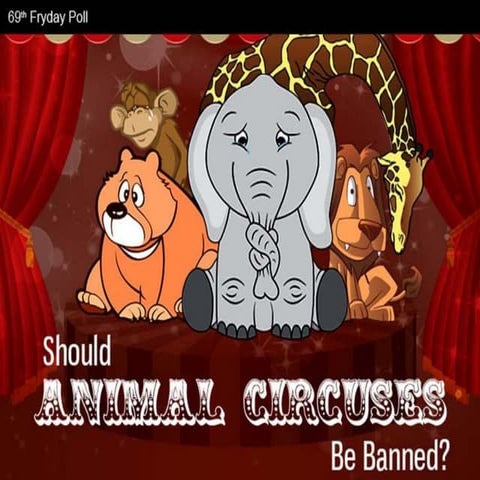 Should Animal Circuses Be Banned? Truth Behind The Curtain | PDF ...