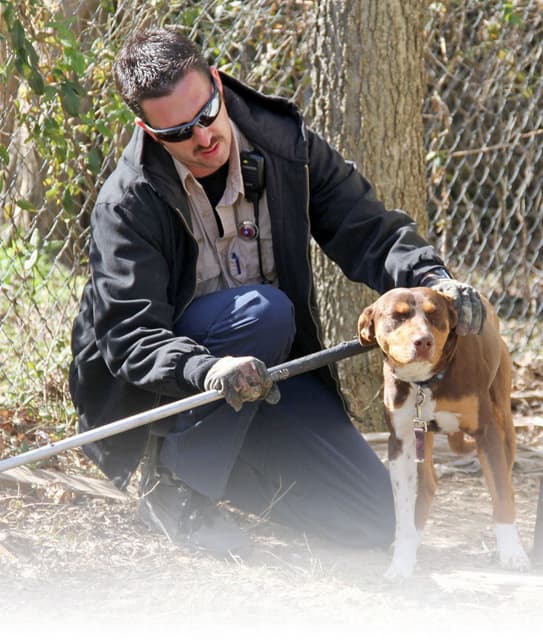 Animal Trapping Techniques | PPT