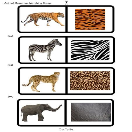 Diferenciar piel de los distintos animales | PDF