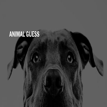 animal-guess-fun-activities-games-games_127208.pptx