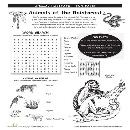 ANIMAL HABITAT AT RAIN FOREST | PDF