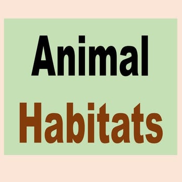 Animals Habitats - Grassland, Desert, Tundra etc | PPTX