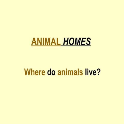 Animal Homes | PPT