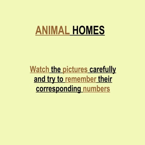 Animal Homes: Activity | PPT