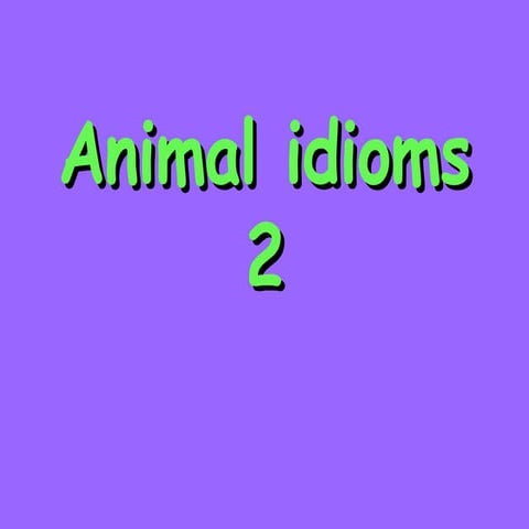 Animal idioms | PPT