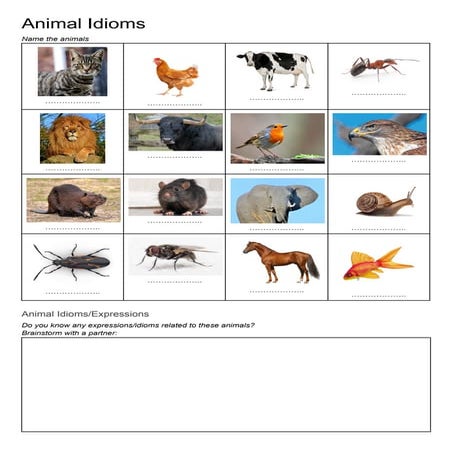 animal-idioms.pdf