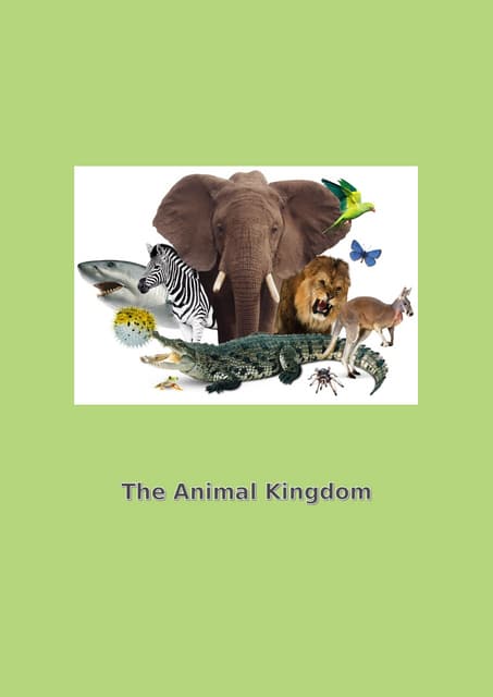 Classification of animal kingdom | PPTX