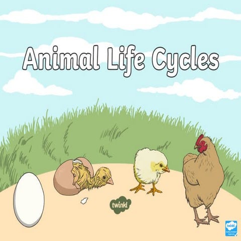 PPT is about the Animal- Life-Cycles ppt.ppt