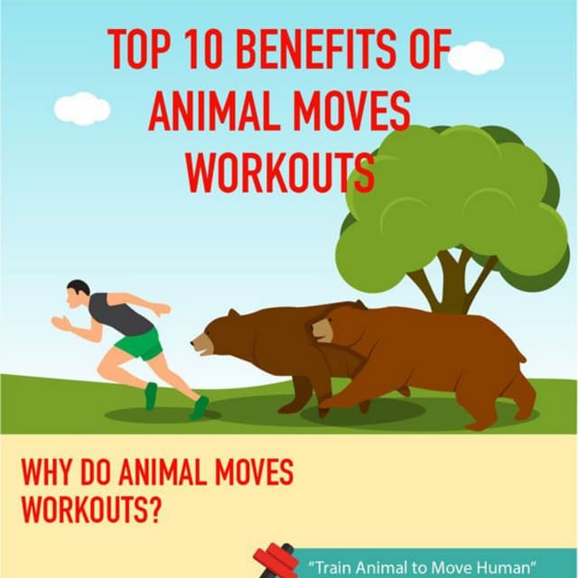 10 Benefits of Animal Moves Workouts | PDF
