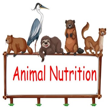 ANIMAL-NUTRITION POWERPOINT GRADE 12 GEN BIO 2 | PPTX