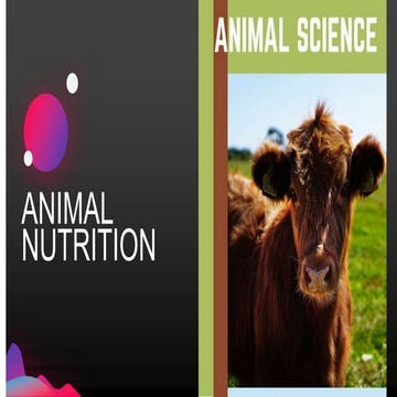 Basic guide to ANIMAL-NUTRITION and relation to digestive system | PPTX