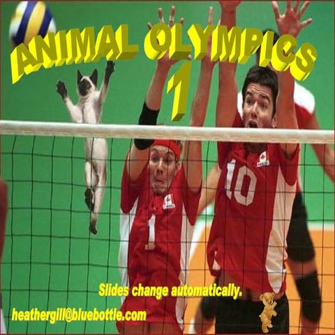 Animal Olympics 01 | PPT