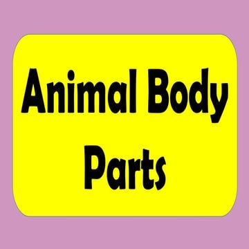 Body Parts of Animals (hoof, tusk, talon, suckers etc) | PPTX