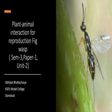 Animal plant interaction- fig wasp (Obligate Mutualism) | PDF