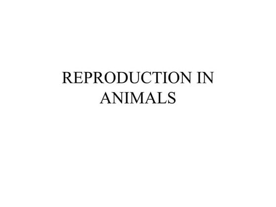 Animal Reproduction | PDF