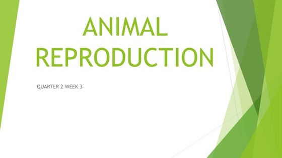 ANIMAL REPRODUCTION grade 5--------.pptx