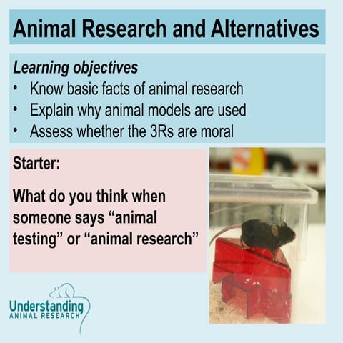 animal-research-and-alternatives-lesson.pptx