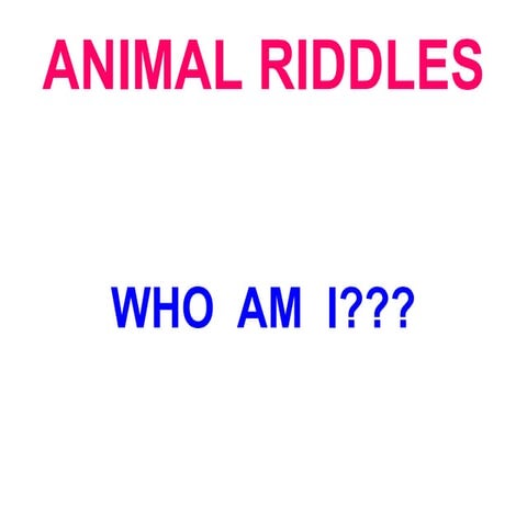 animal-riddles-flashcards for kids and children | PPTX