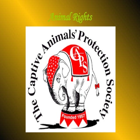 Animal Rights | PPT