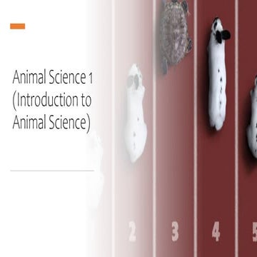 Animal-Science-1-1.pptx