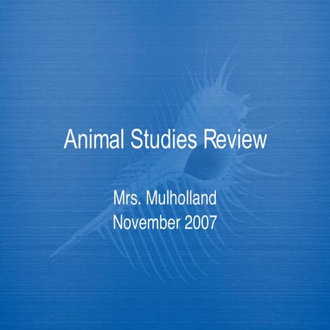 Animal Studies Review Game | PPT
