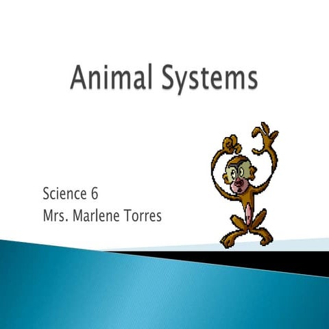 Animal Systems | PPTX