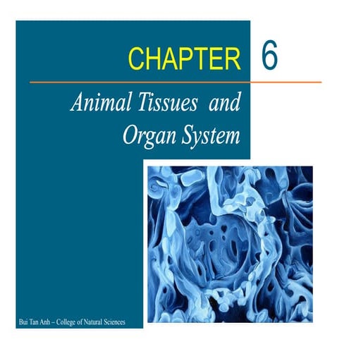 Animal Tissue Organ System powerpoint.pdf