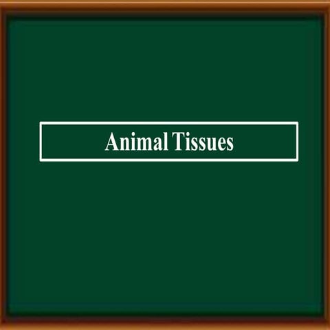 ANIMAL-TISSUES.pdf