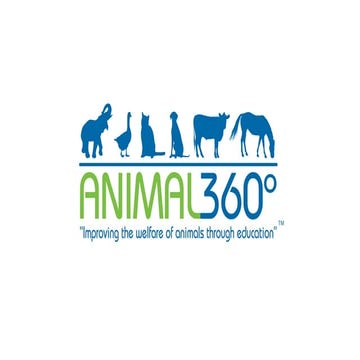 Animal360 Sample Design | PPT