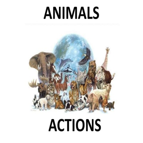 Animal actions | PPTX