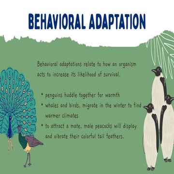 This document discusses various types of animal adaptations including ...