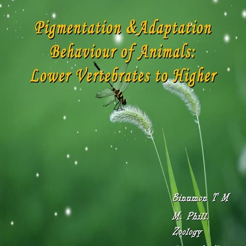 Animal adaptation and camouflage | PPT | Reptiles | Pets