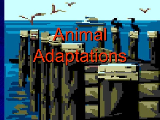 Animal adaptations | PPTX