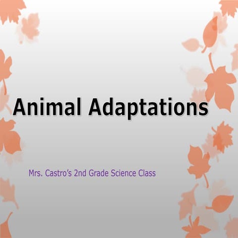 Animal adaptations | PPTX | Large Animals | Pets