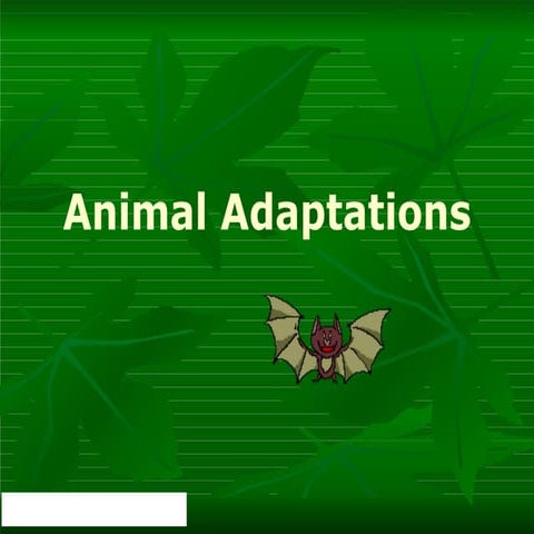 Animal adaptations | PPT