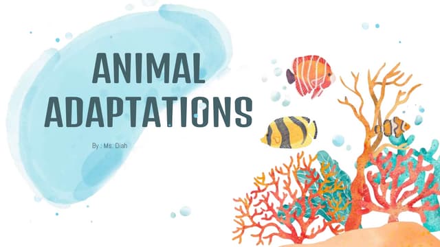 Animal adaptations introduction | PPTX