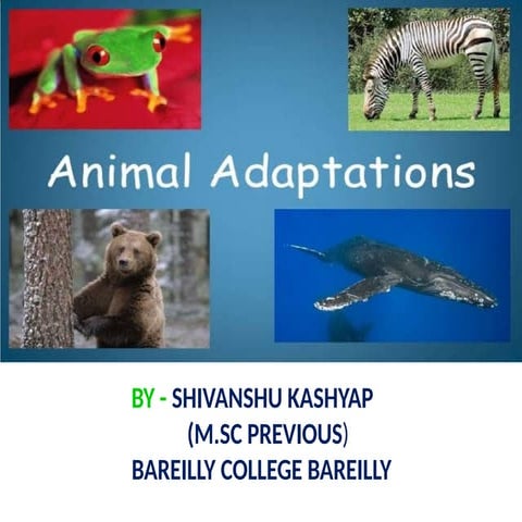 Animal adaptations bareilly college.pptx