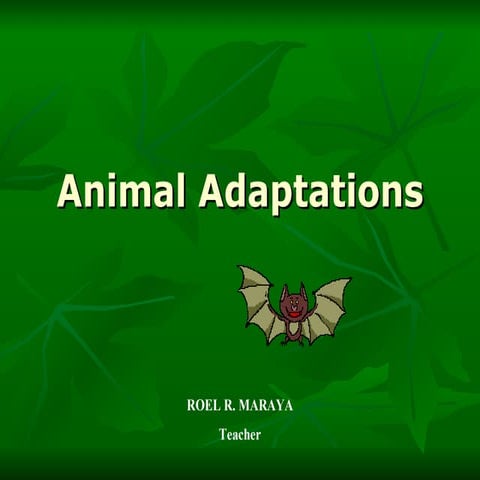 Animal adaptations i | PPT