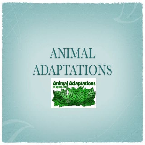 Animal adaptations presentation | KEY | Reptiles | Pets