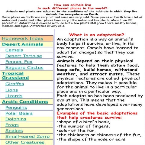 Paw Creek Animal adaptations | PPTX | Geography | Science