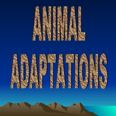 Plant adaptations | PPT