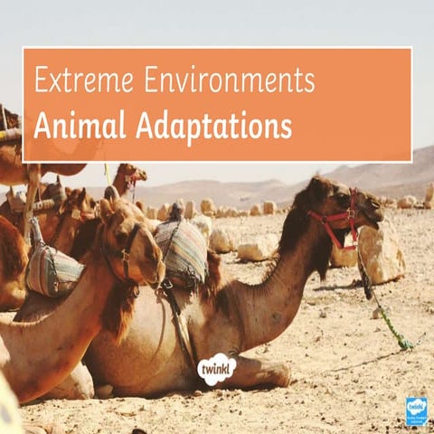 Animal adaptations to extreme environments power point answers removed ...
