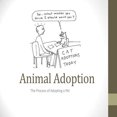 Animal Adoption Presentation | PPTX