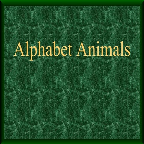 Animal Alphabet | PPT