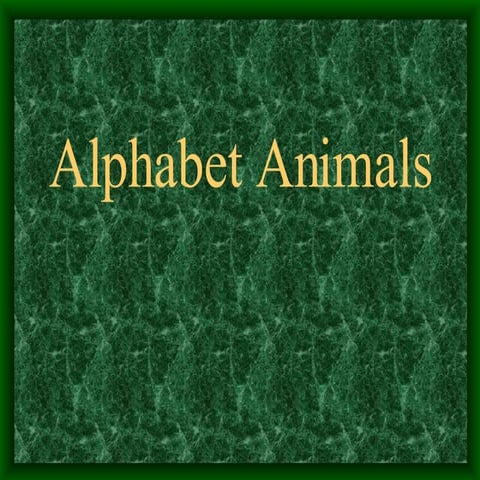 Animal Alphabet | PPT