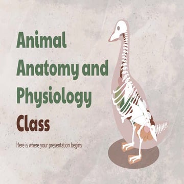Animal Veterinary and Physiology Class by Slidesgo.pptx