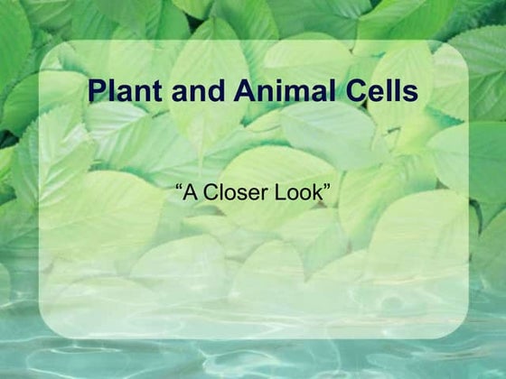 Cells songs-and-lyrics | PDF | Biological Sciences | Science
